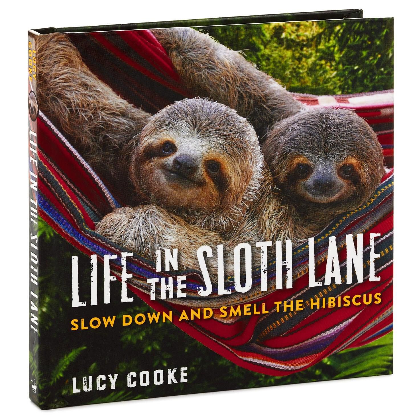 Sloth Eating Hibiscus