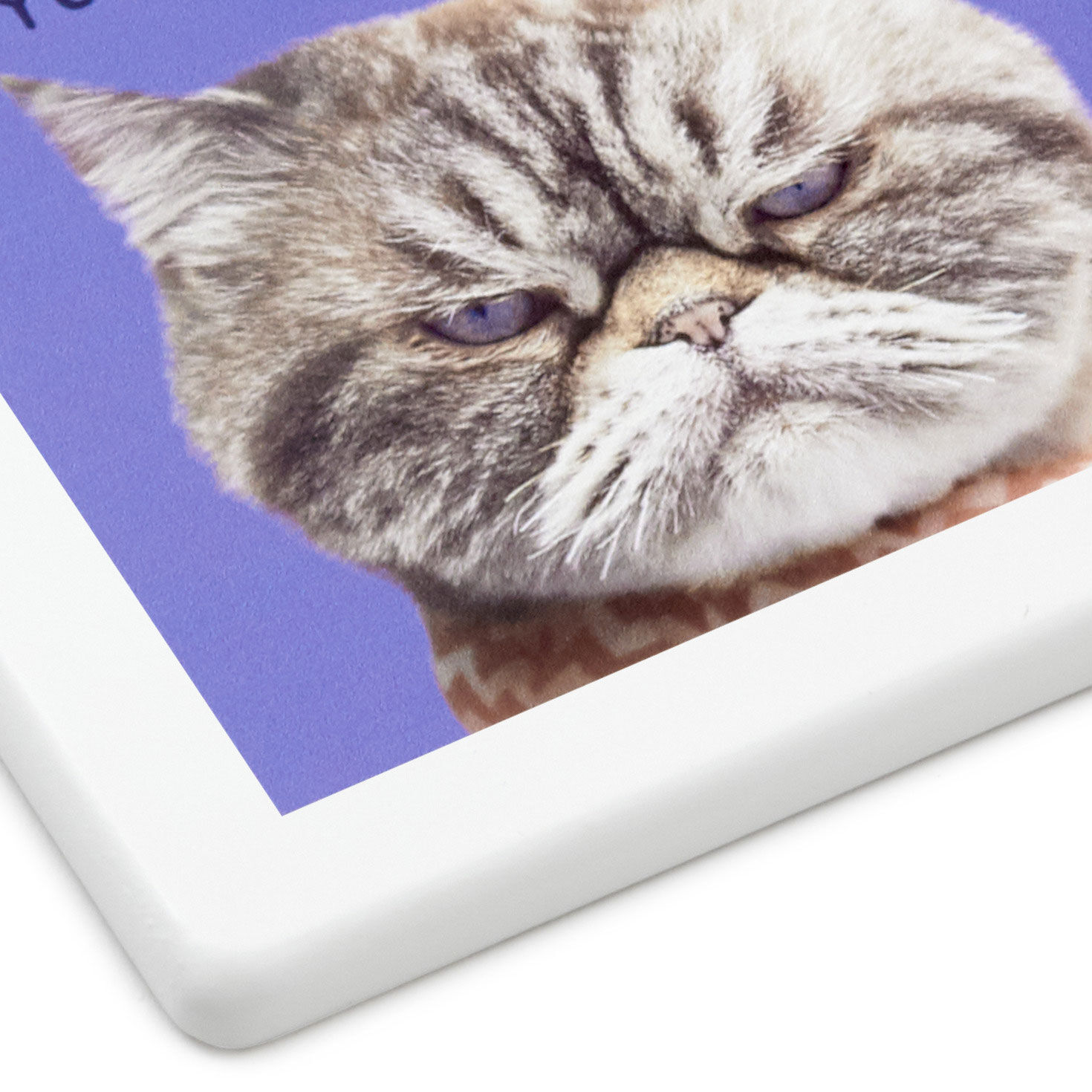 Grumpy Kevin the Cat Photo Funny Coaster - Kitchen Accessories | Hallmark