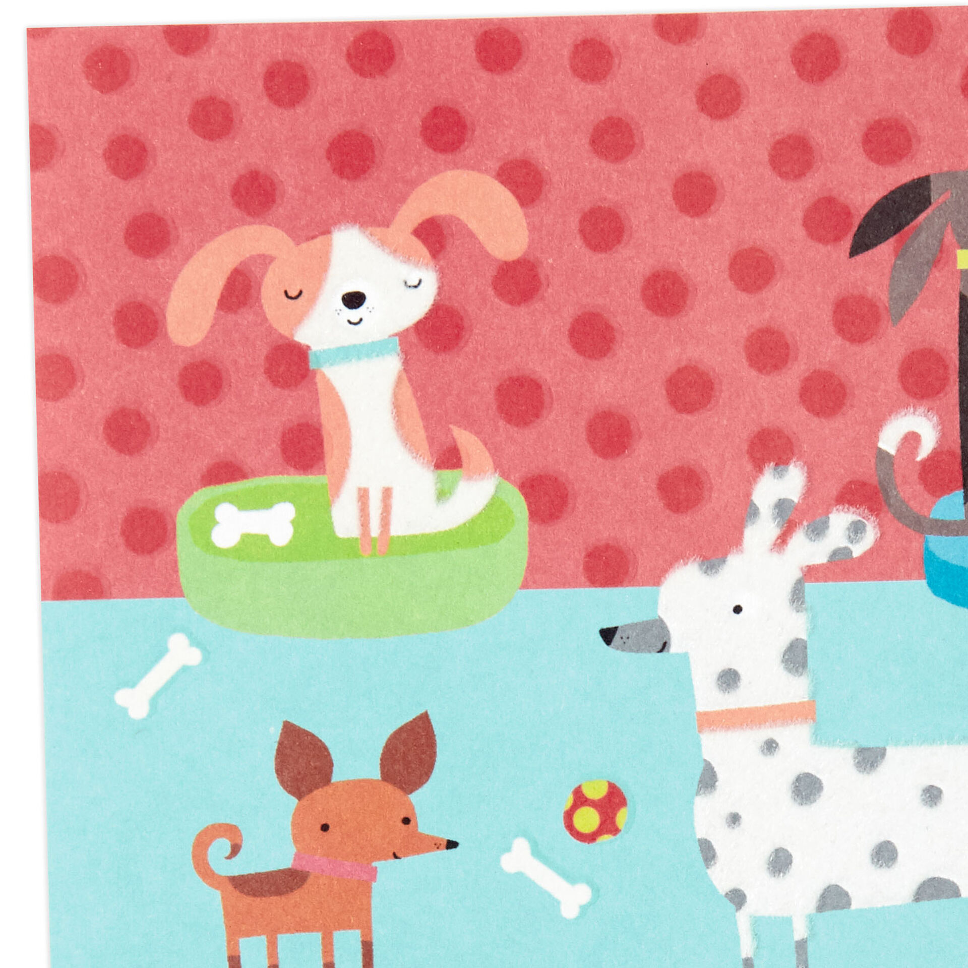 Dog Party Blank Card - Greeting Cards - Hallmark