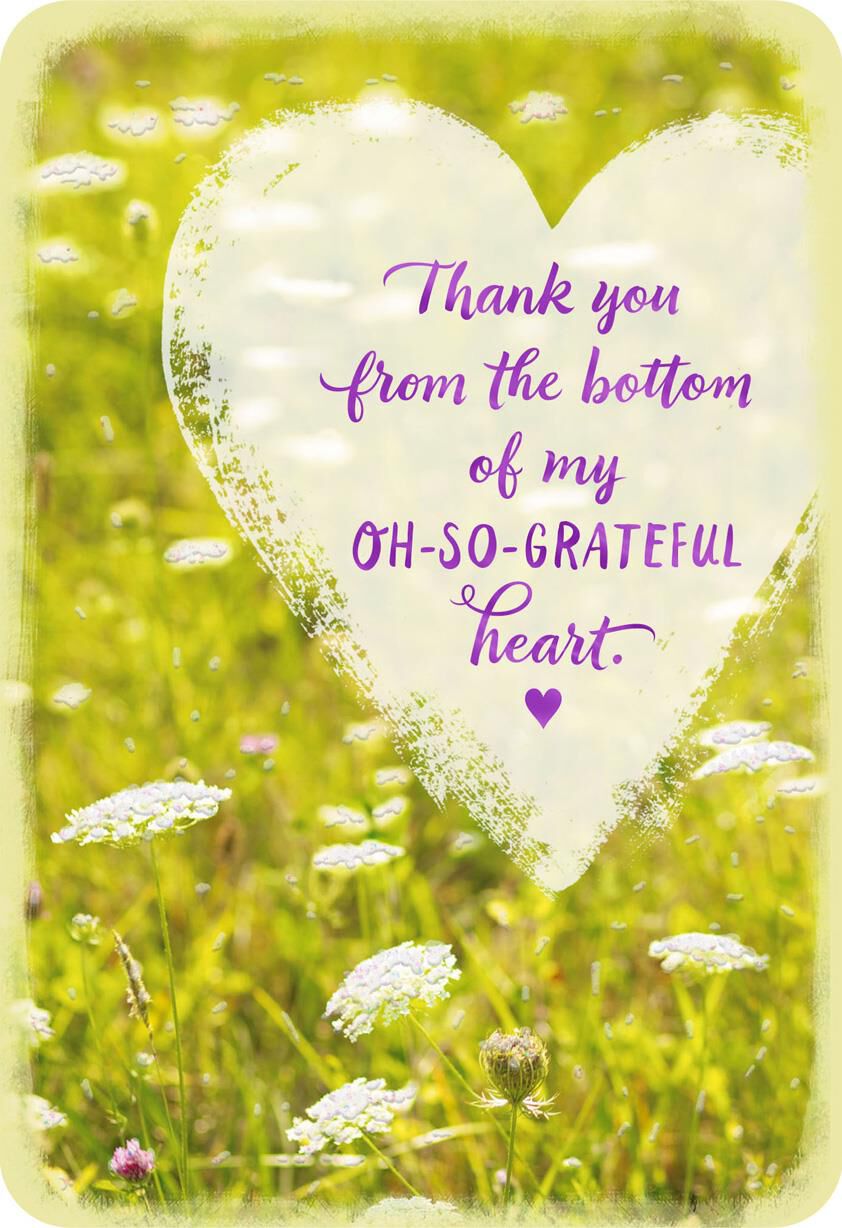 Thank You Cards And Bulk Thank You Notes Hallmark
