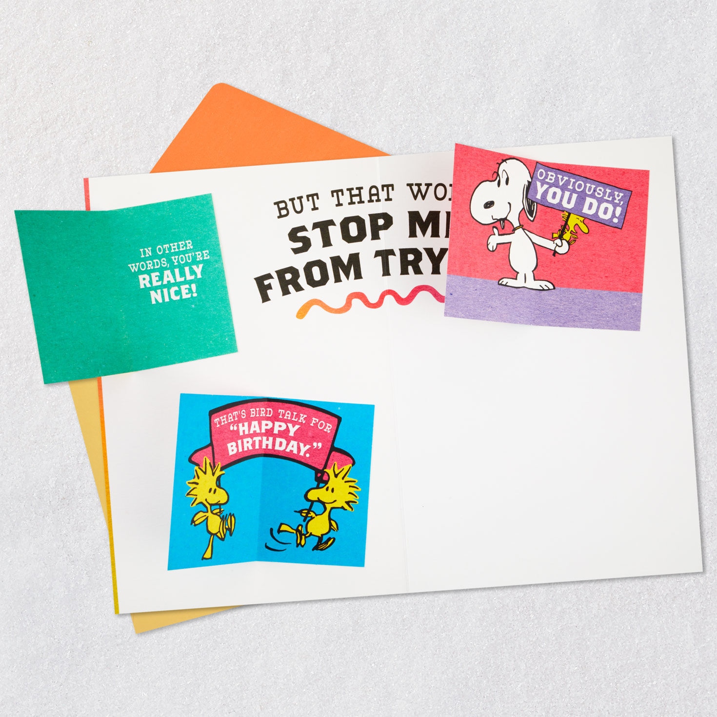 Peanuts® Charlie Brown Wonderful You Funny Birthday Card With Mini ...