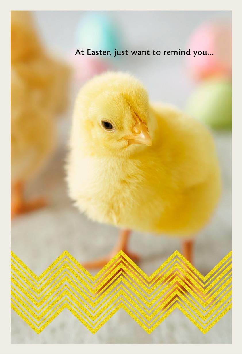 Easter Cards | Hallmark