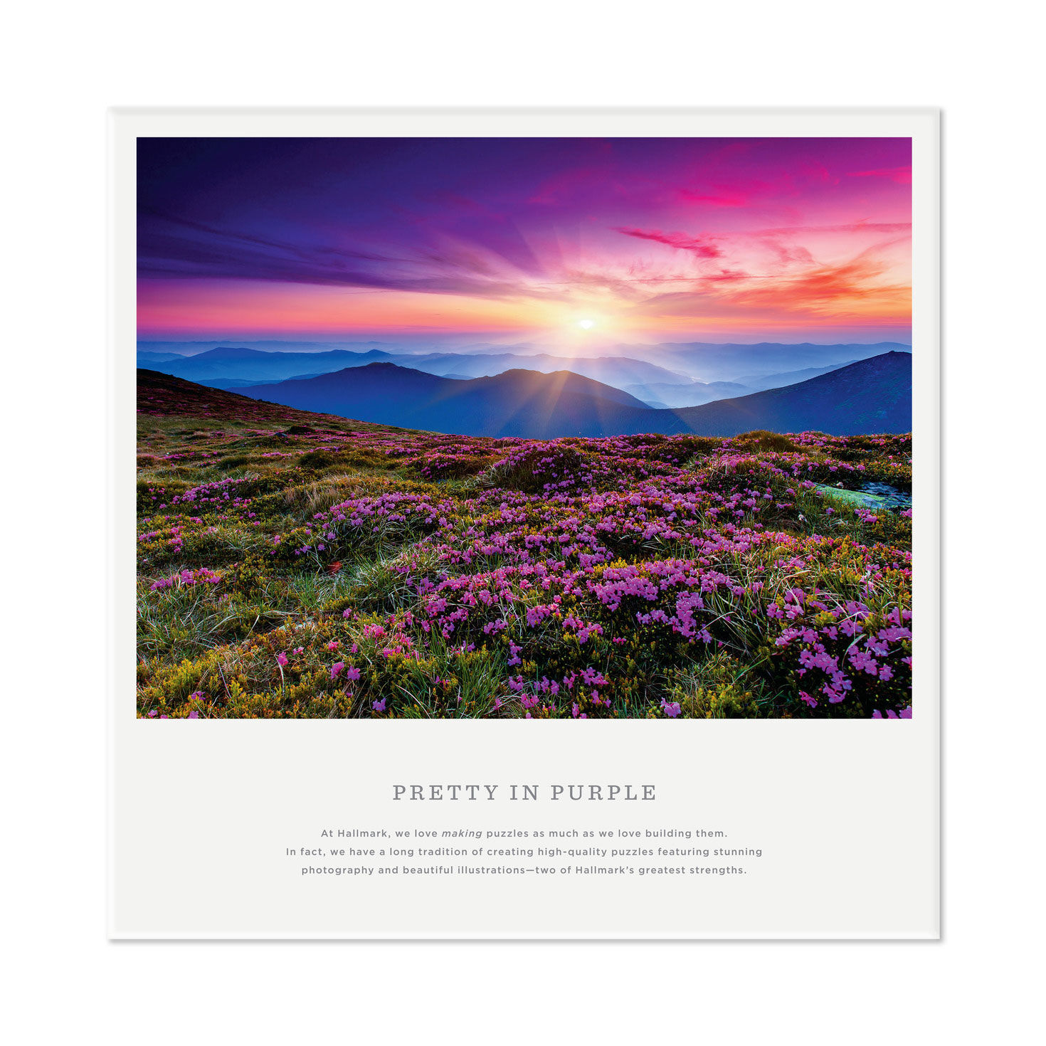 Pretty in Purple 550-Piece Jigsaw Puzzle - Puzzles | Hallmark