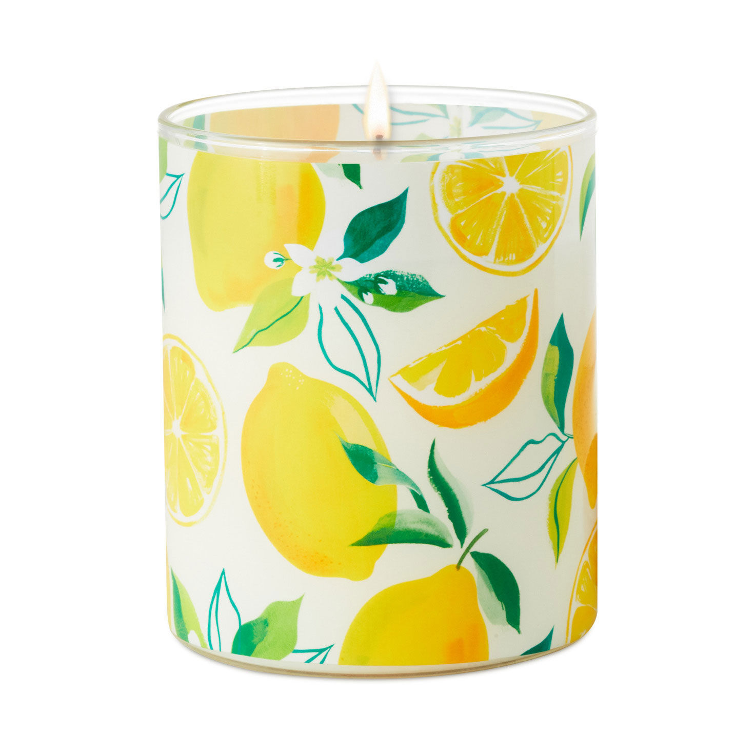 Meyer Lemon and Lemon Zest Scented 2-Wick Jar Candle, 14.5 oz ...