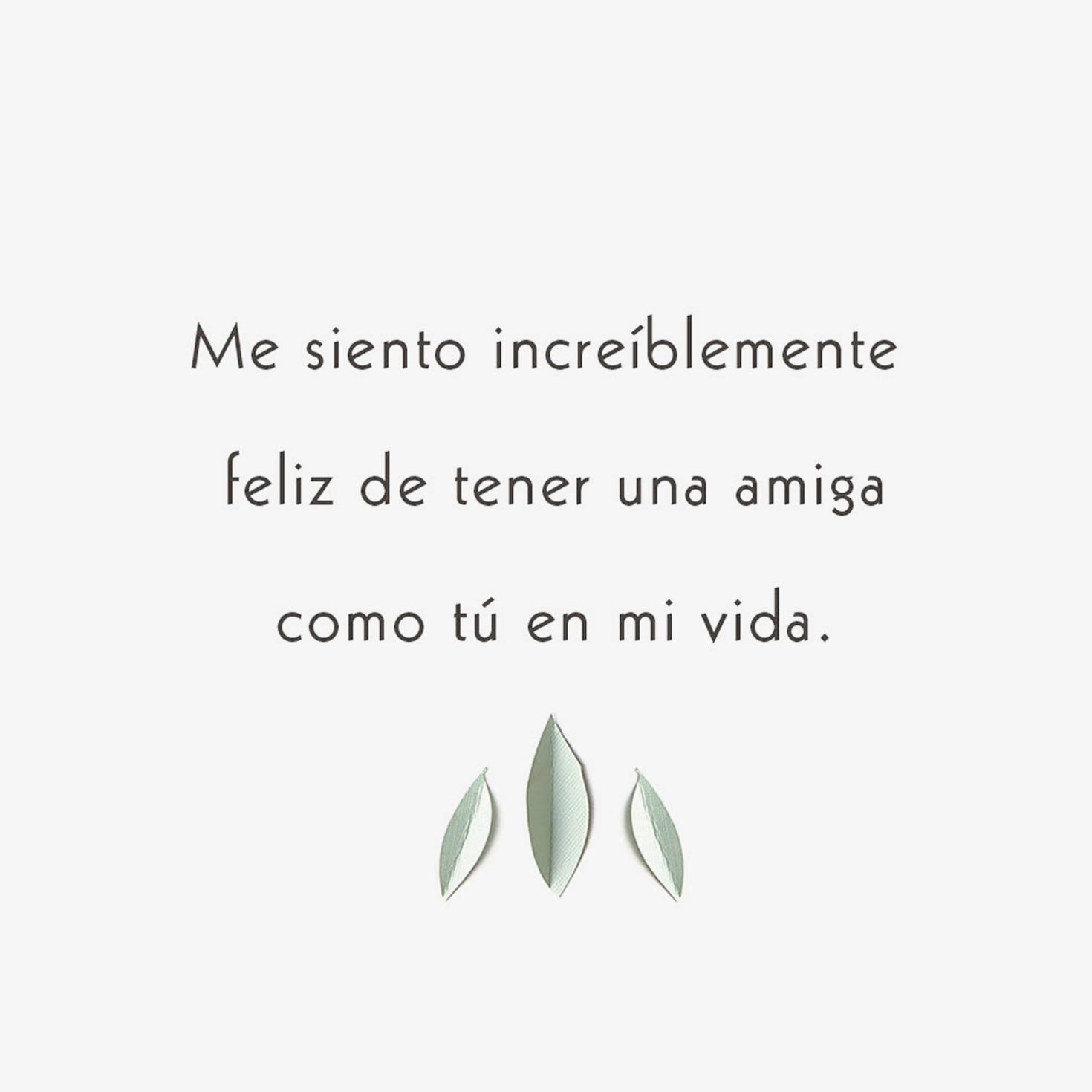 Love You, Amiga Spanish-Language Friendship Card - Greeting Cards ...