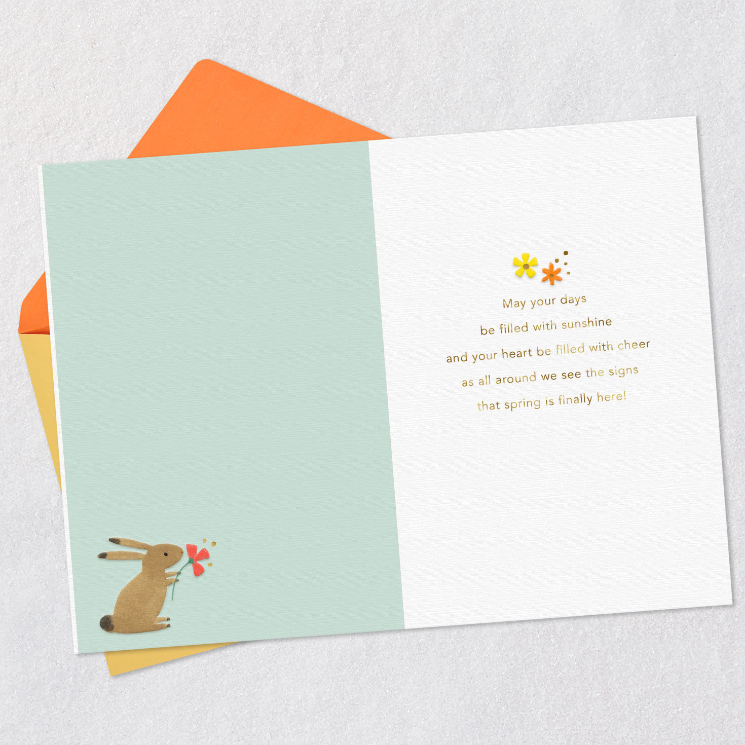 Spring Is Finally Here Easter Card - Greeting Cards | Hallmark