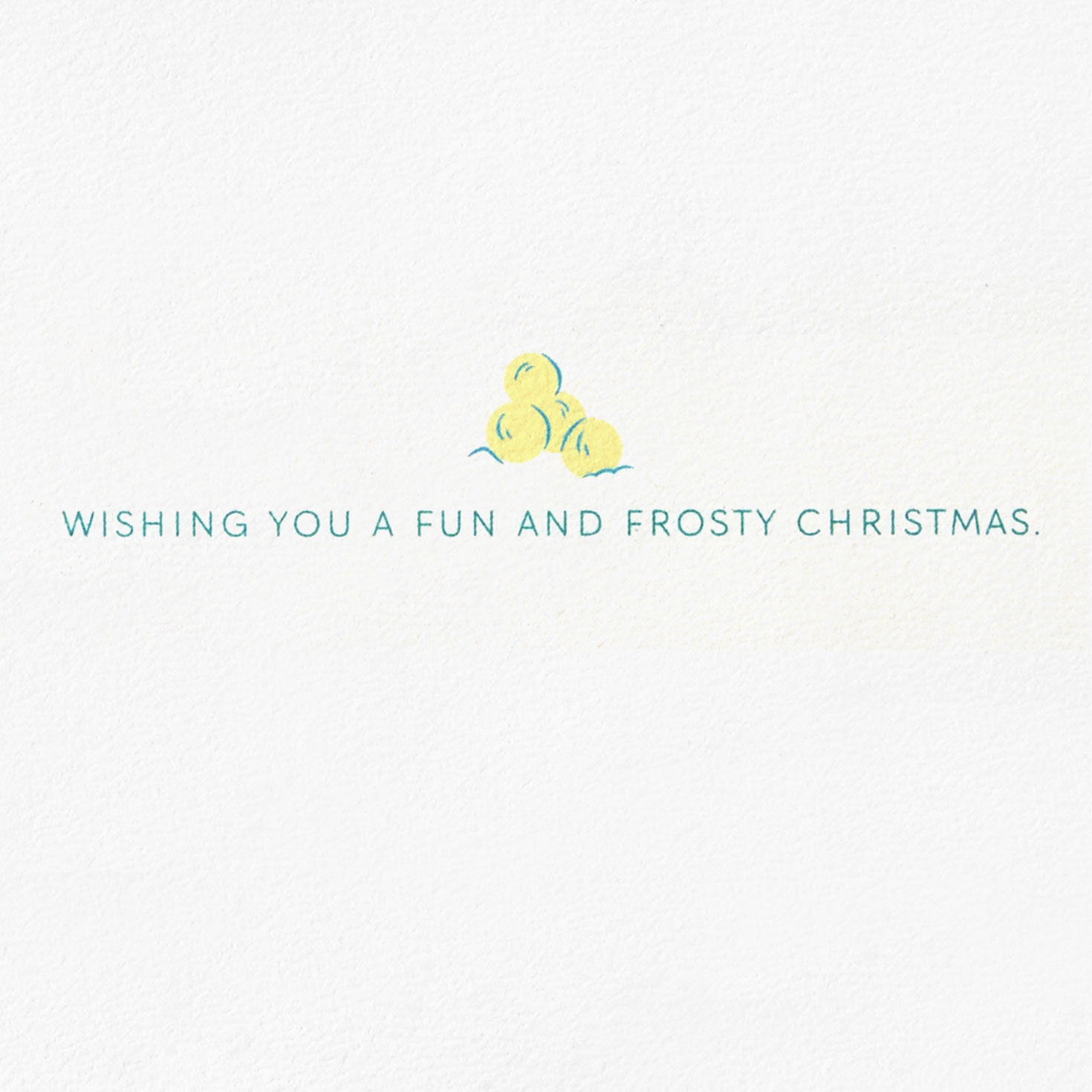 Peanuts® Charlie Brown and Friends Fun and Frosty Christmas Card ...