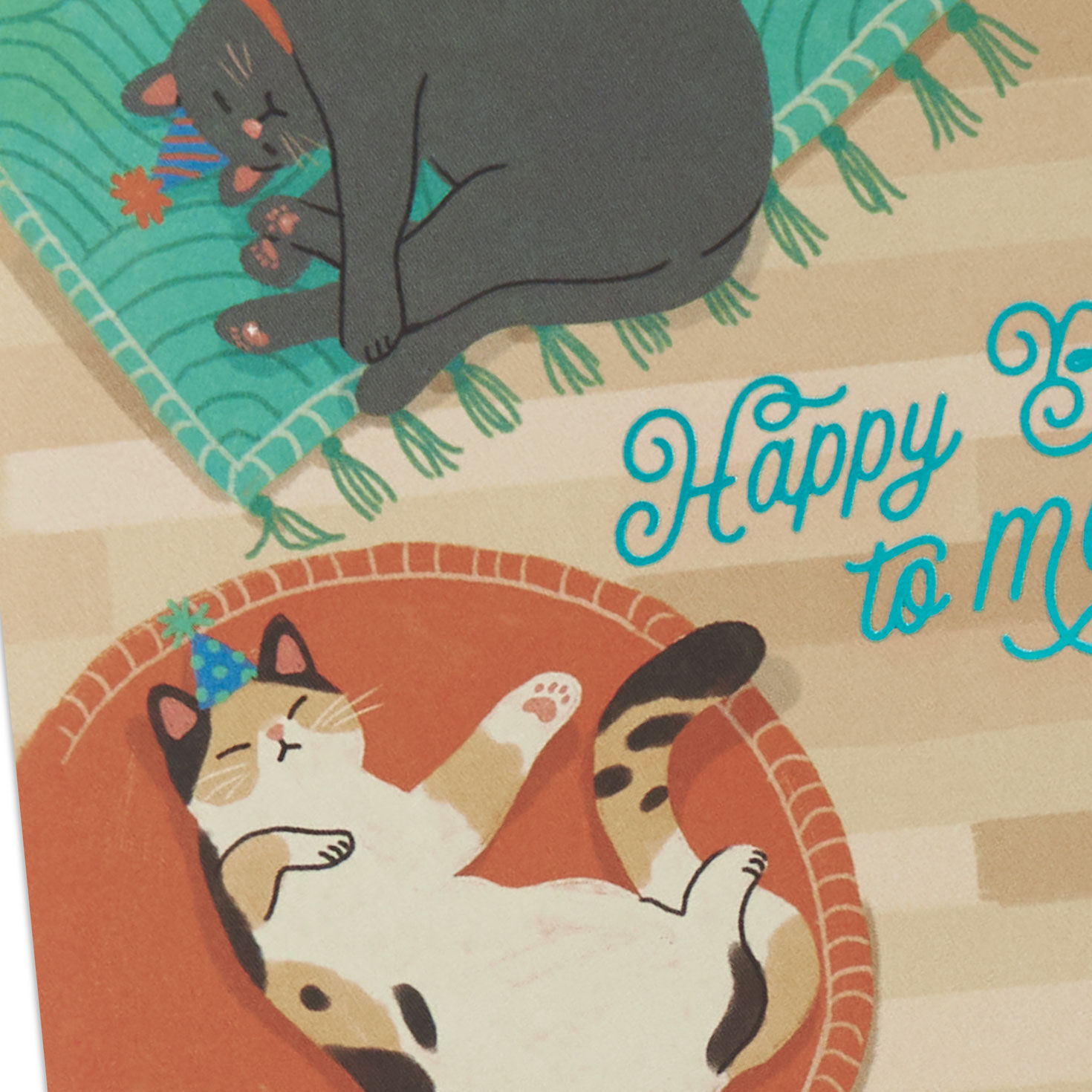 Find Your Sunny Spot Birthday Card From the Cat - Greeting Cards | Hallmark