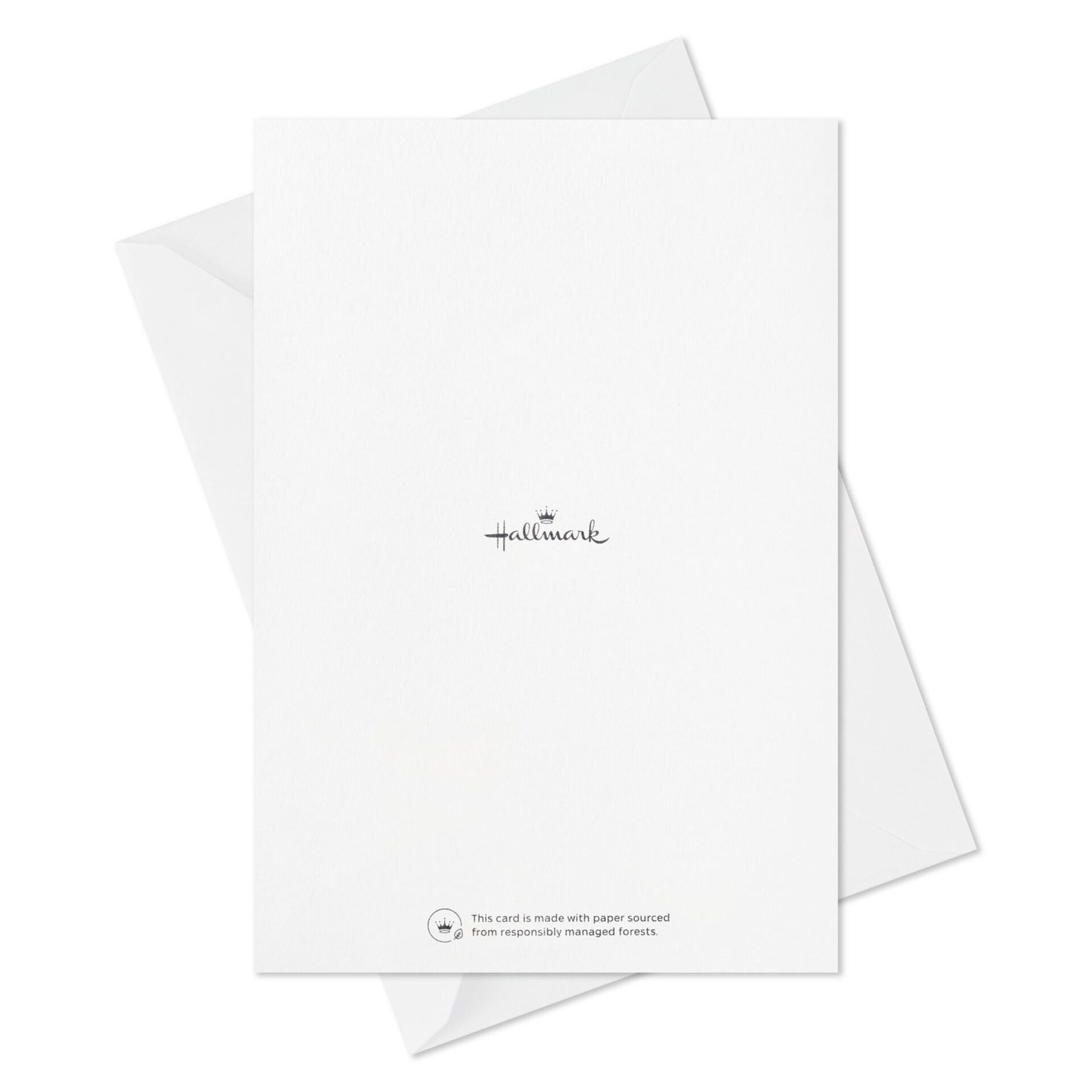 Colorful Classic Boxed All-Occasion Cards Assortment, Pack of 12 ...