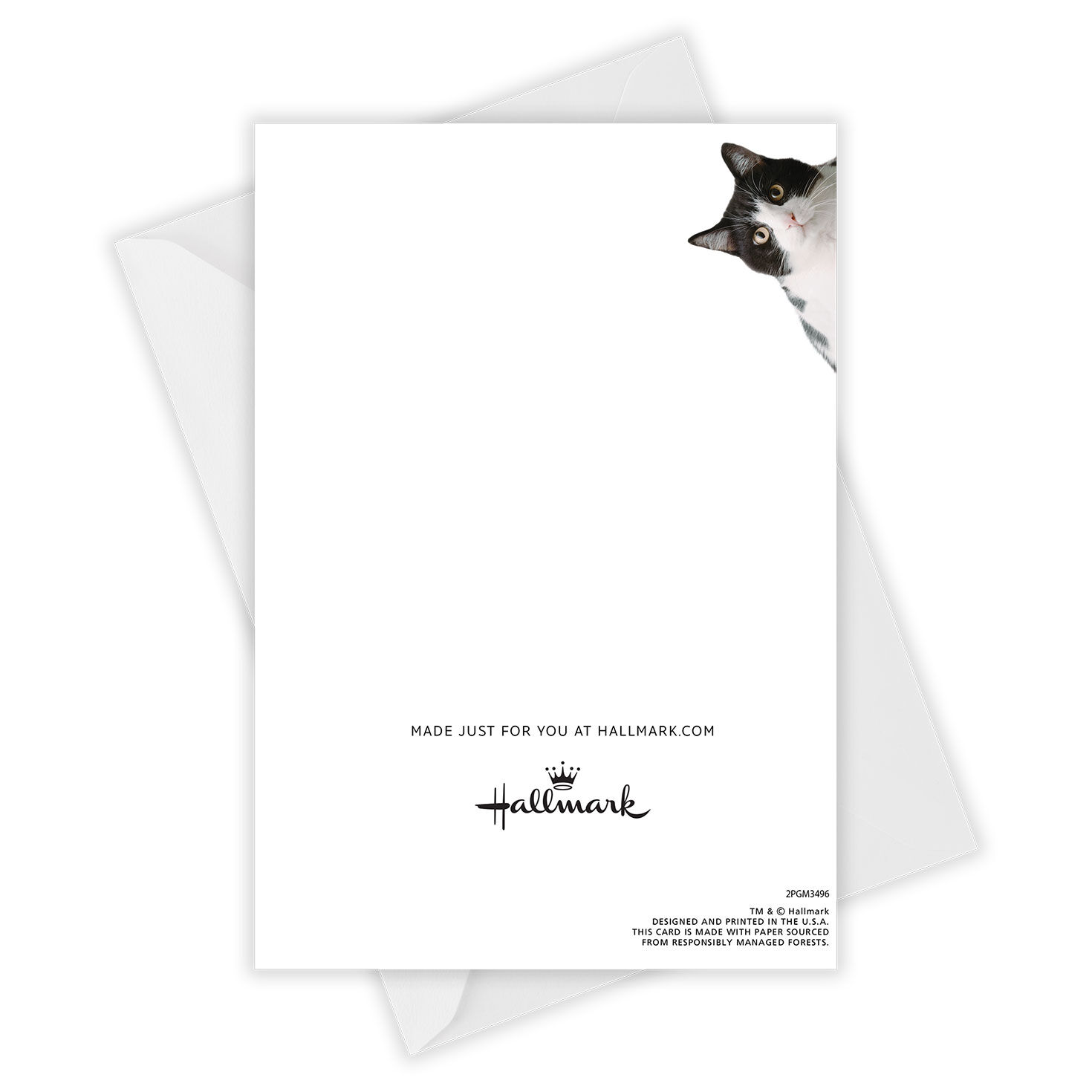 Fat Cat Funny Custom Thanksgiving Card - Greeting Cards | Hallmark