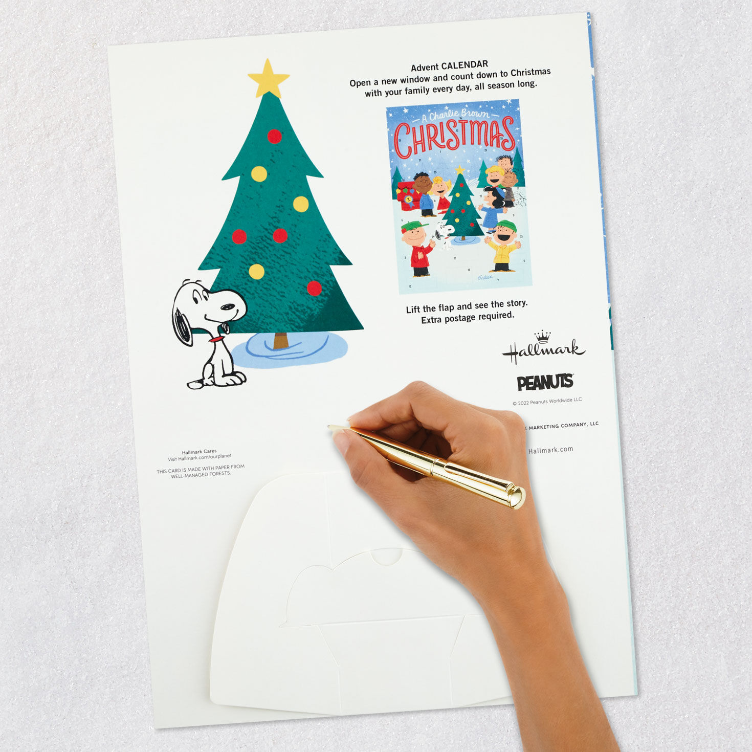 Peanuts® A Charlie Brown Christmas Countdown-to-Christmas Advent ...