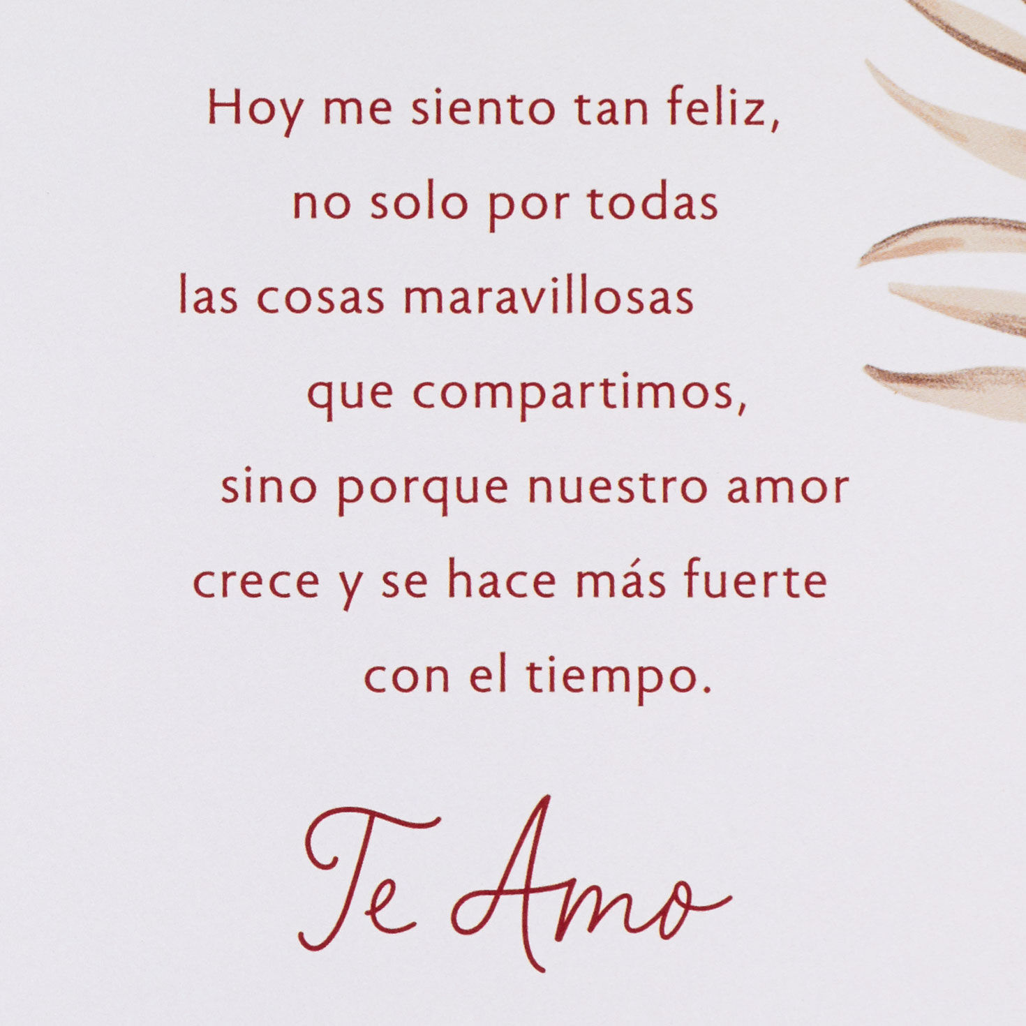 Love You More Each Day Spanish-Language Love Card - Greeting Cards ...