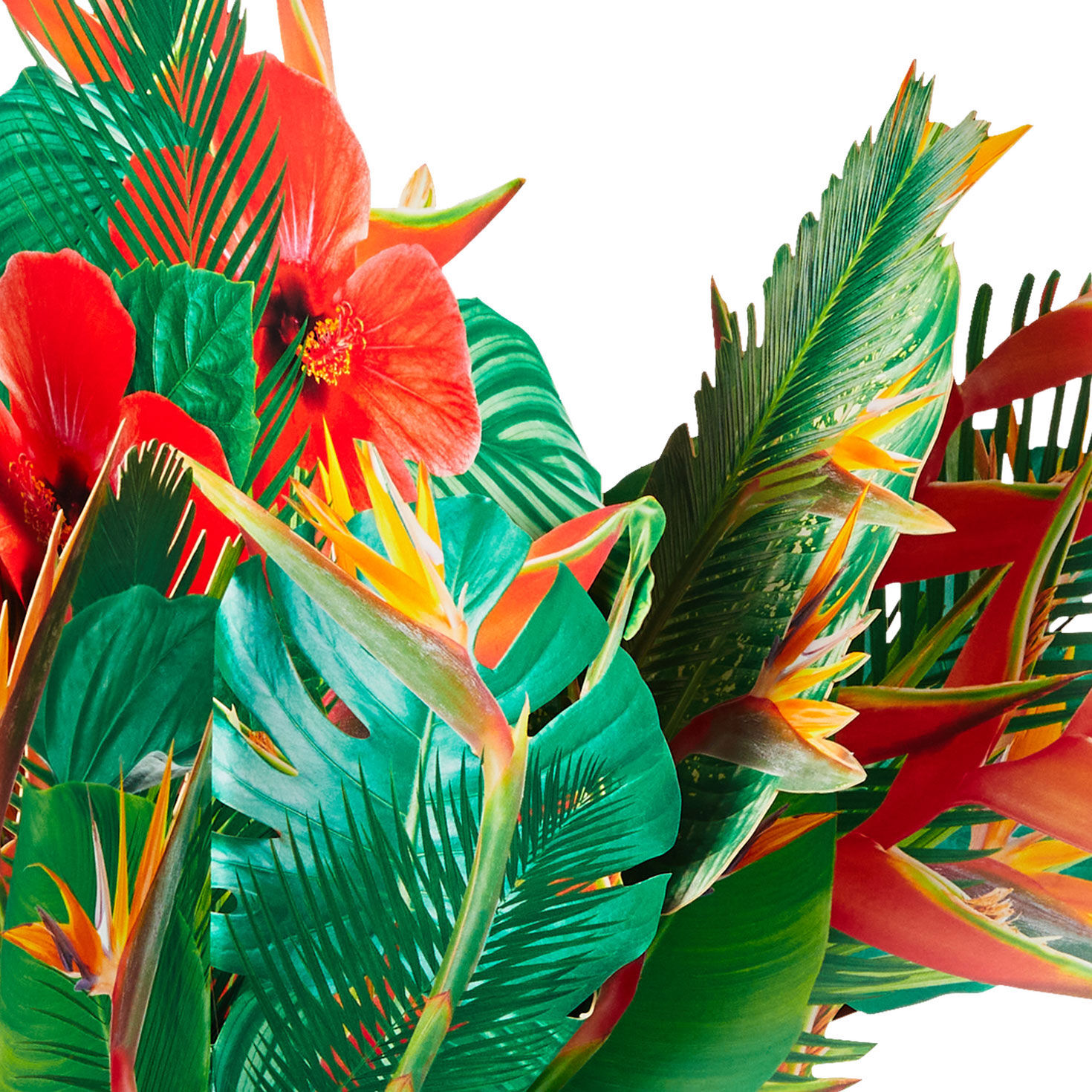 Build-a-Bouquet Tropical Pop-Up Paper Flowers - Greeting Cards | Hallmark