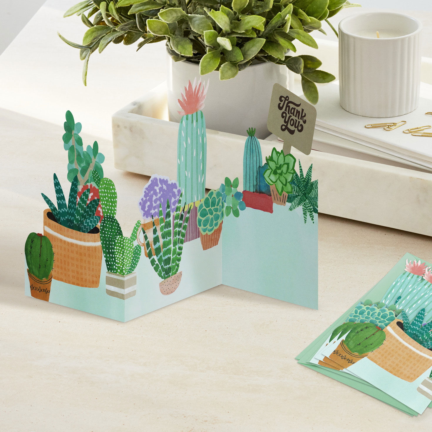 Succulents Collection Blank Thank You Notes, Pack of 8 - Note Cards ...