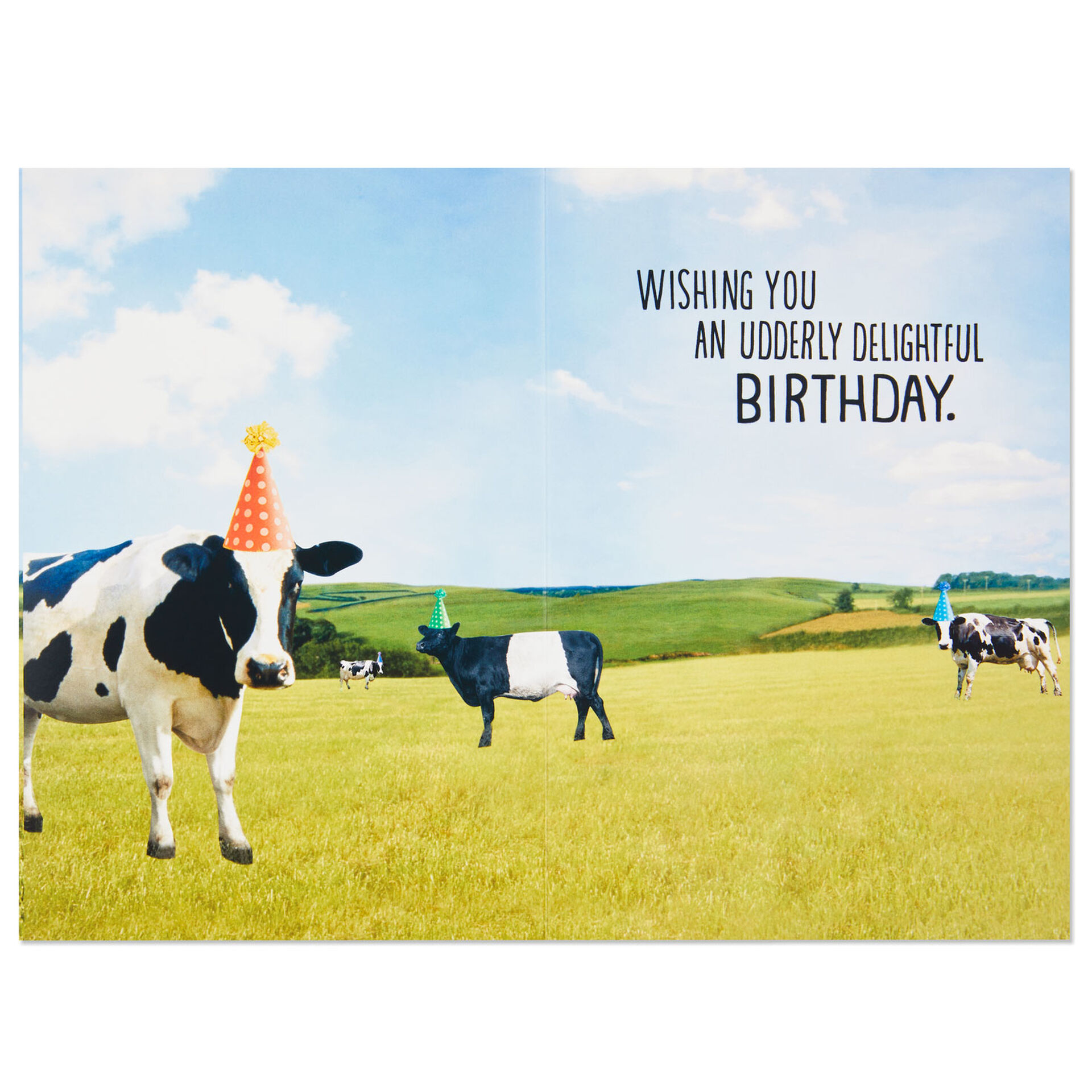 Party Cows Birthday Card With Sound and Motion - Greeting Cards - Hallmark