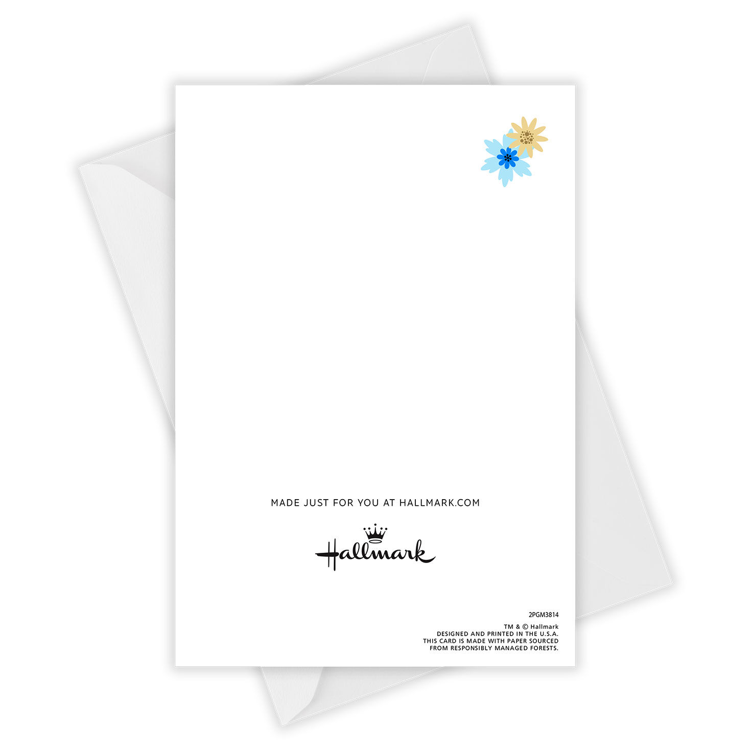 Wishing You Life's Blessings Custom Passover Card - Greeting Cards ...