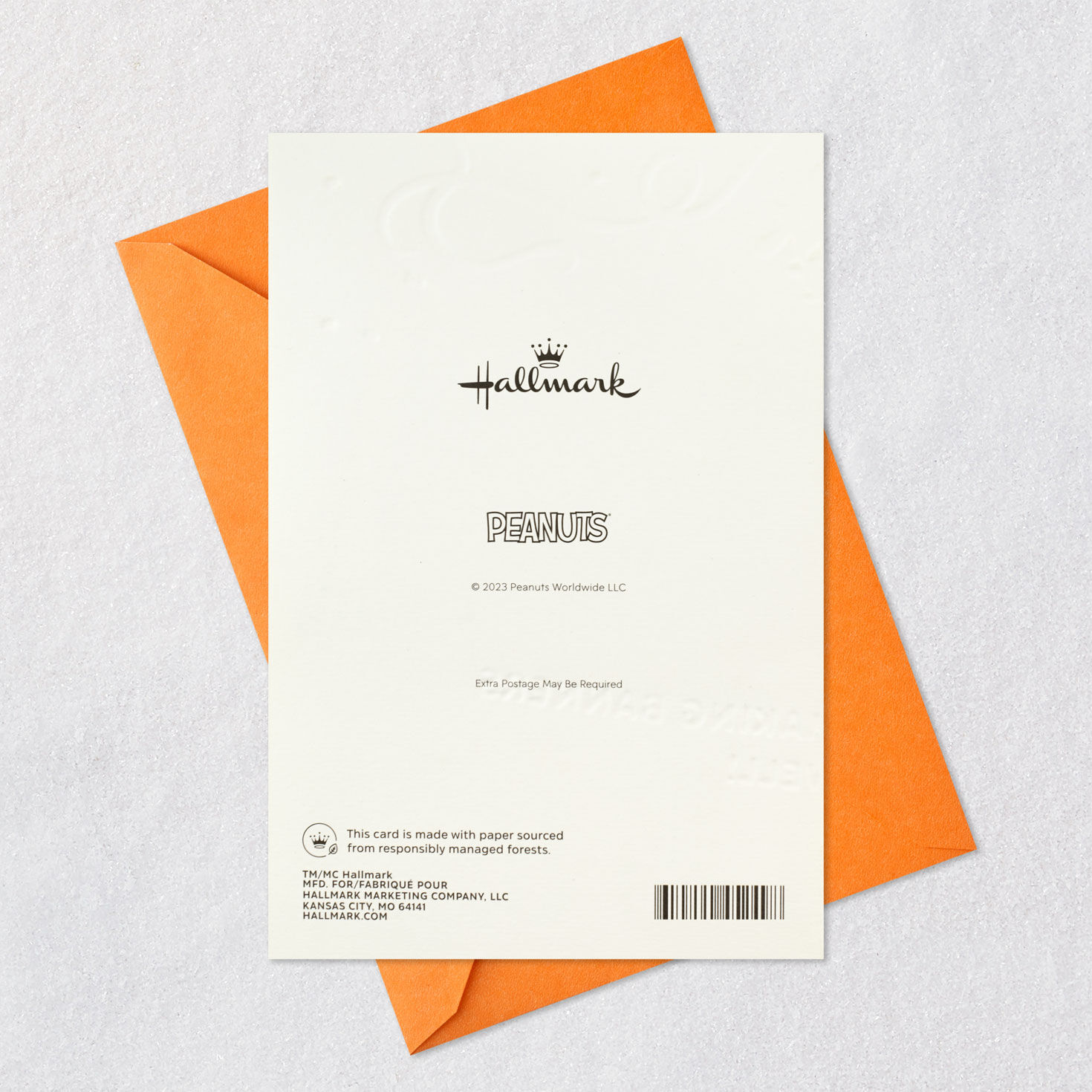 Peanuts Snoopy and Woodstock Burpday Banner Funny Birthday Card ...