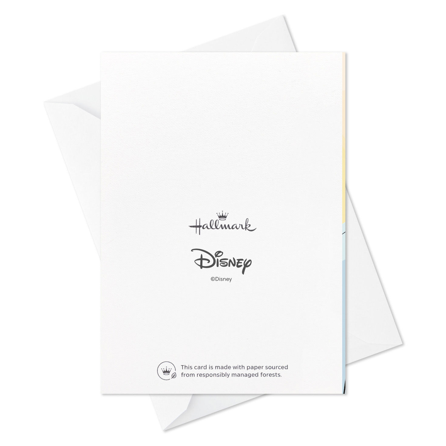 Disney Cinderella and Slipper Blank Thank You Notes, Pack of 10 - Note ...