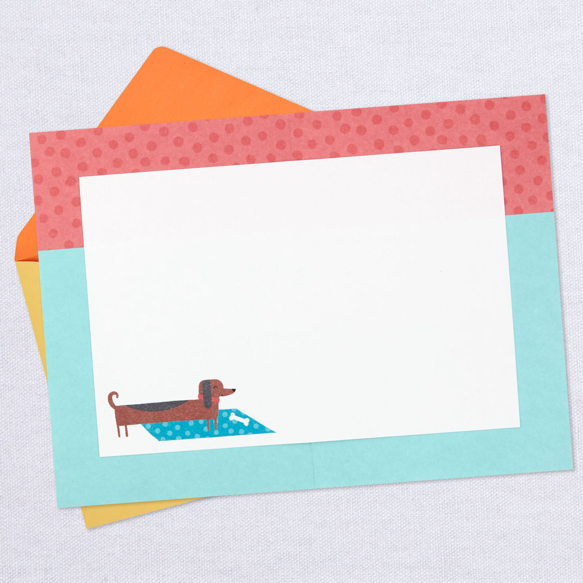 Dog Party Blank Card - Greeting Cards - Hallmark