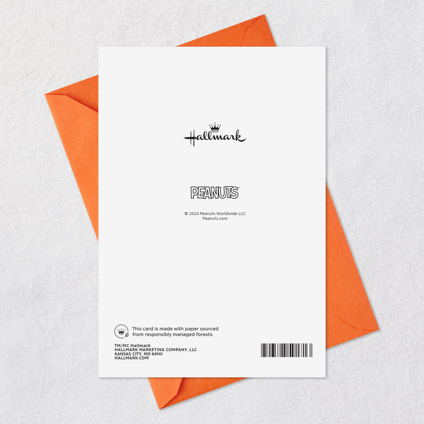 Peanuts® Snoopy and Woodstock Witch Riddle Funny Halloween Card ...