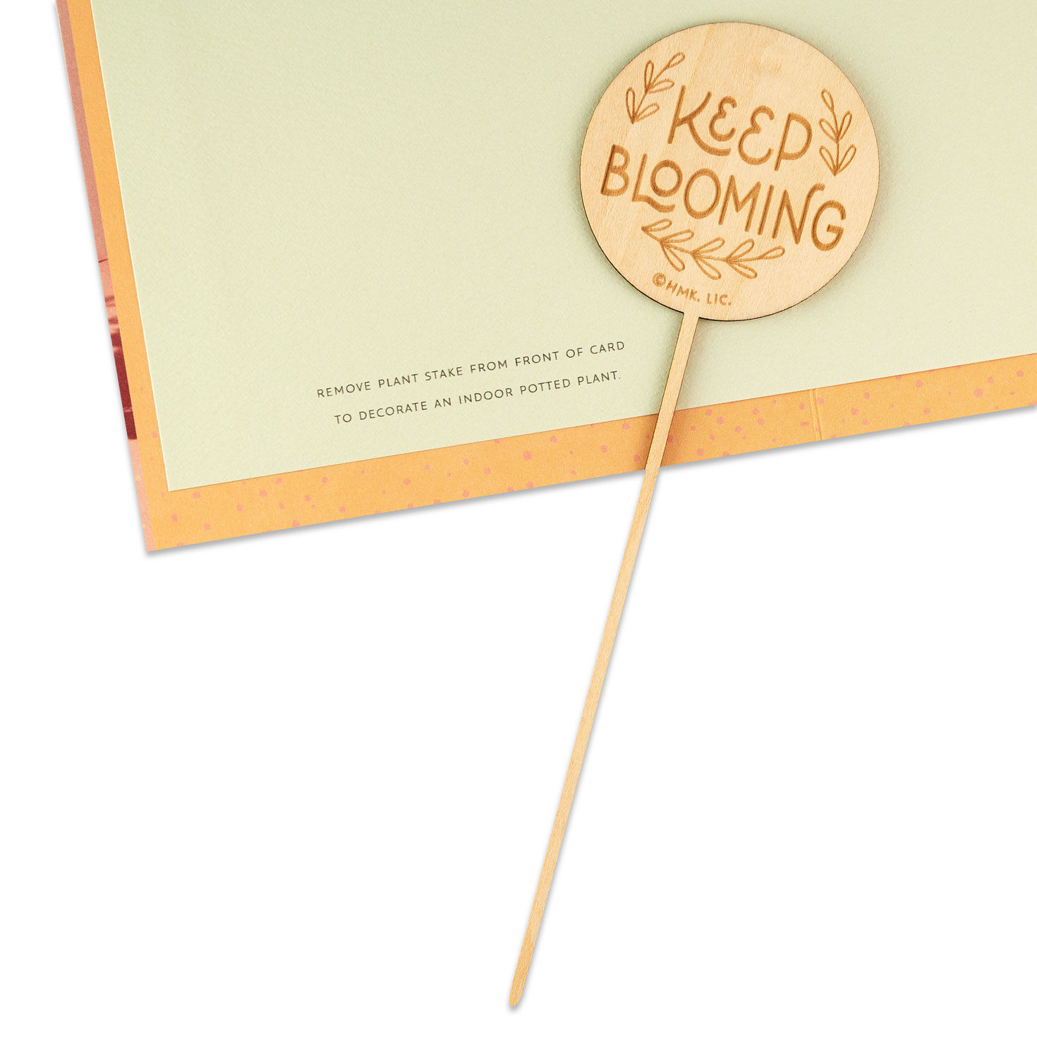 Keep Blooming Birthday Card With Plant Stake - Greeting Cards | Hallmark