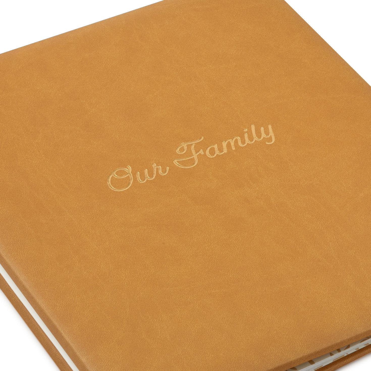 Our Family Gold on Tan Refillable Photo Album - Scrapbooks & Albums ...