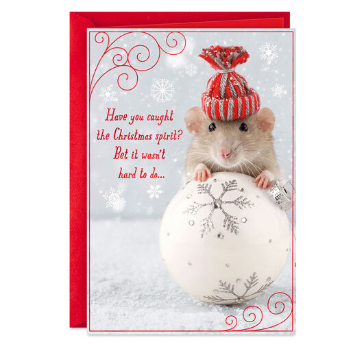 Greeting Cards | Hallmark