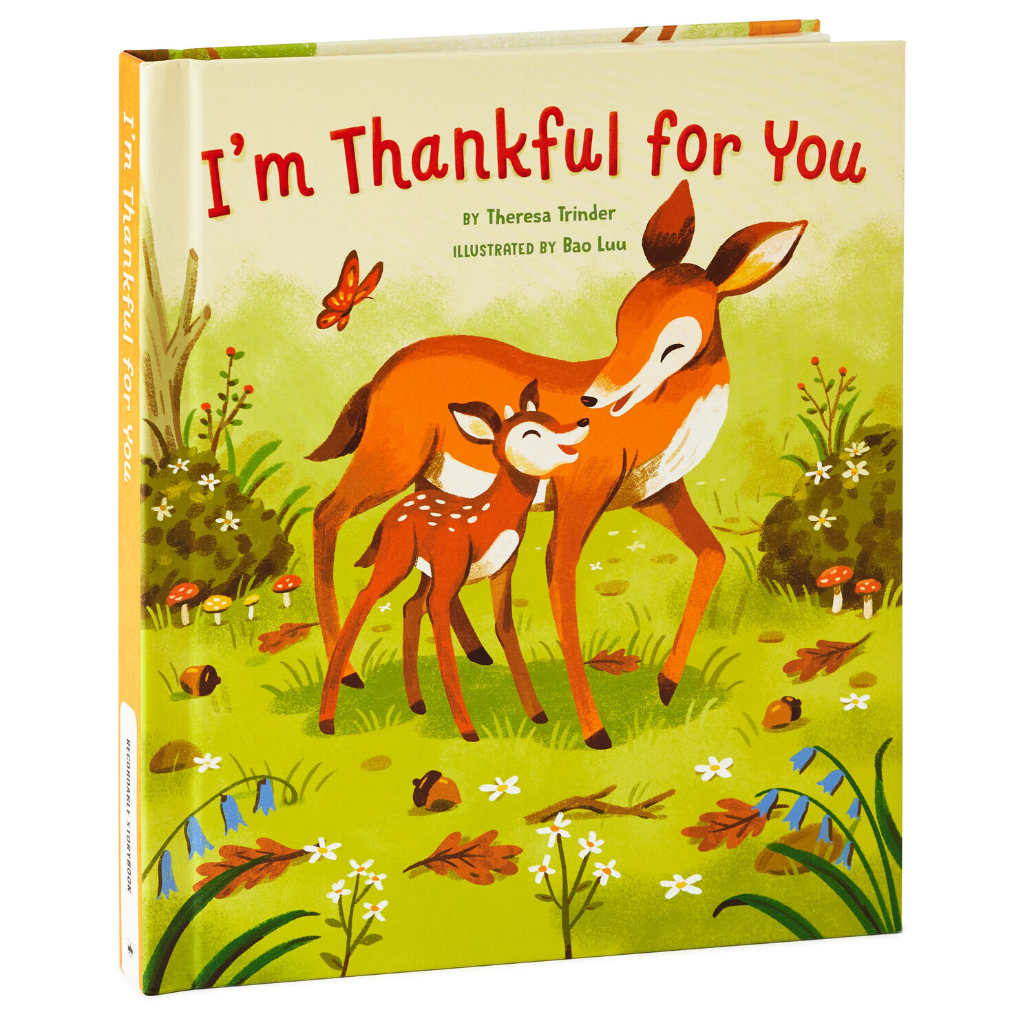 Recordable Storybooks | Hallmark