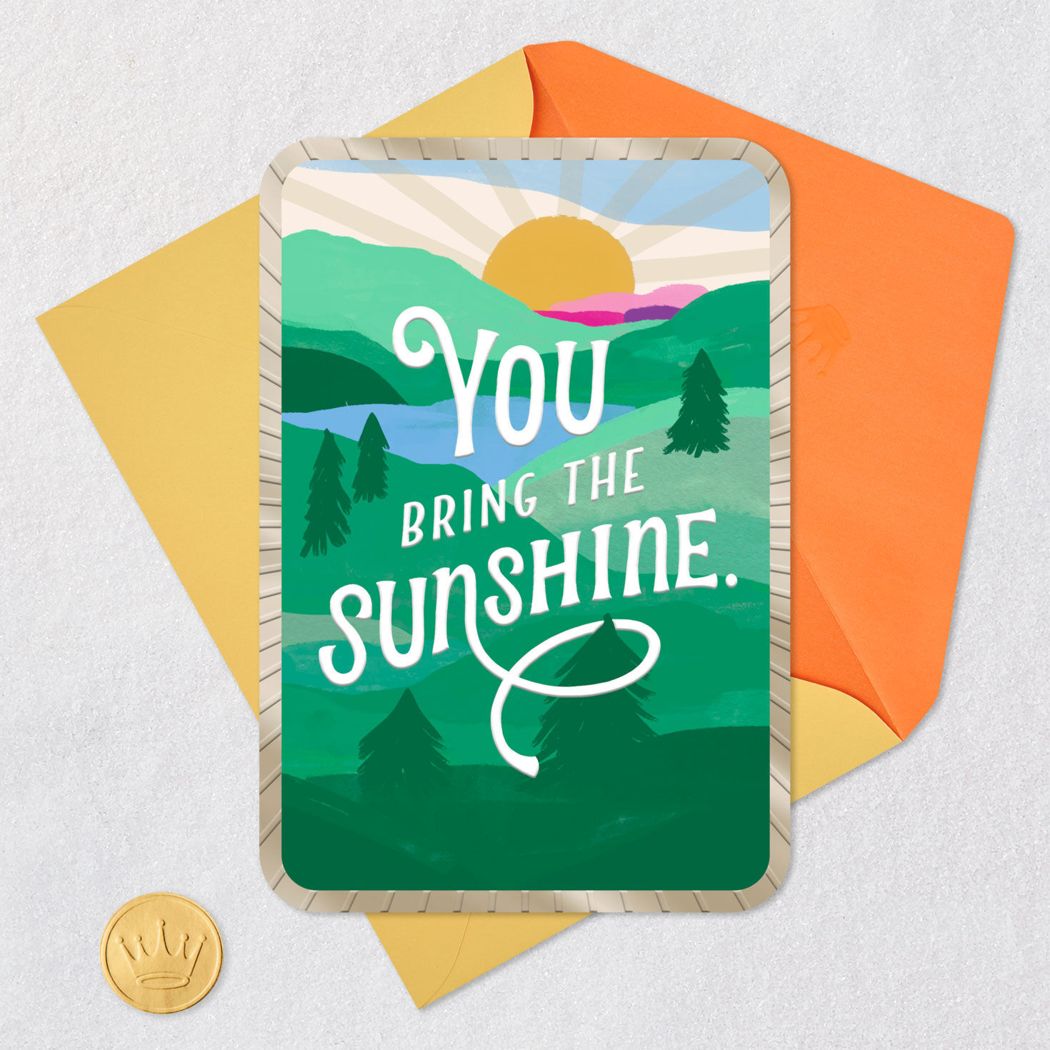 You Bring the Sunshine Friendship Card - Greeting Cards | Hallmark