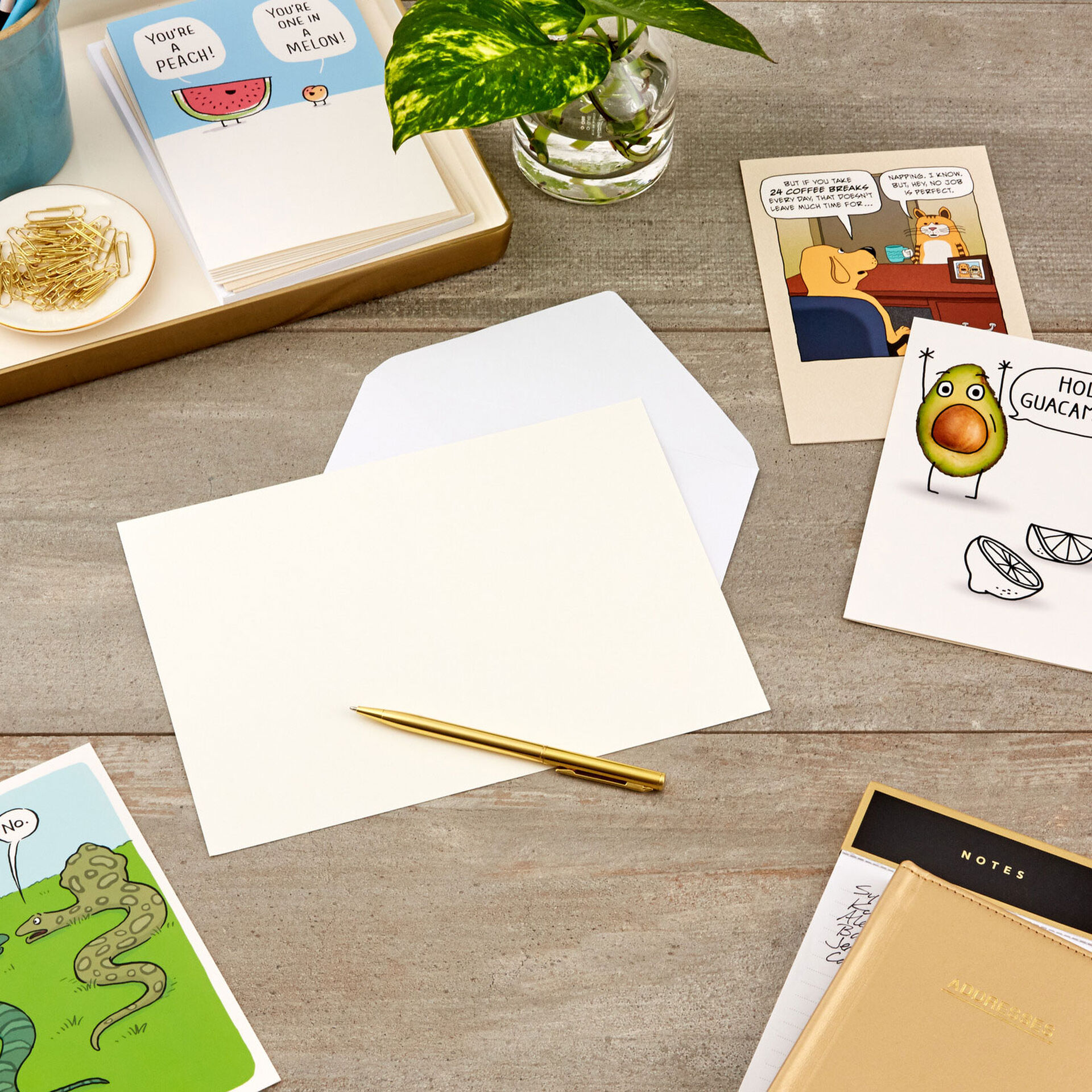 Funny All-Occasion Boxed Blank Cards Assortment, Pack of 12 - Boxed ...