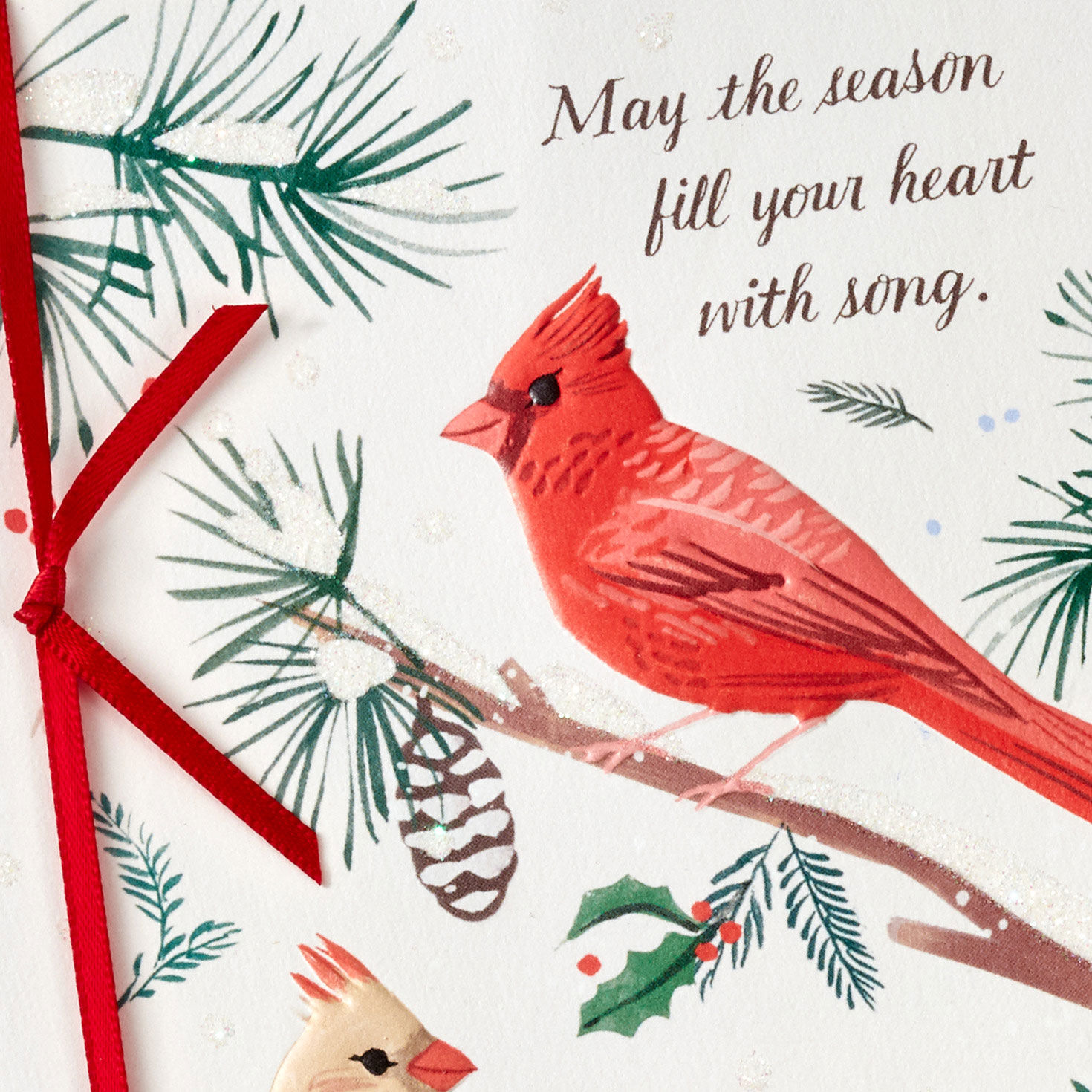 Cardinals on Pine Branches Boxed Christmas Cards, Pack of 12 - Boxed ...