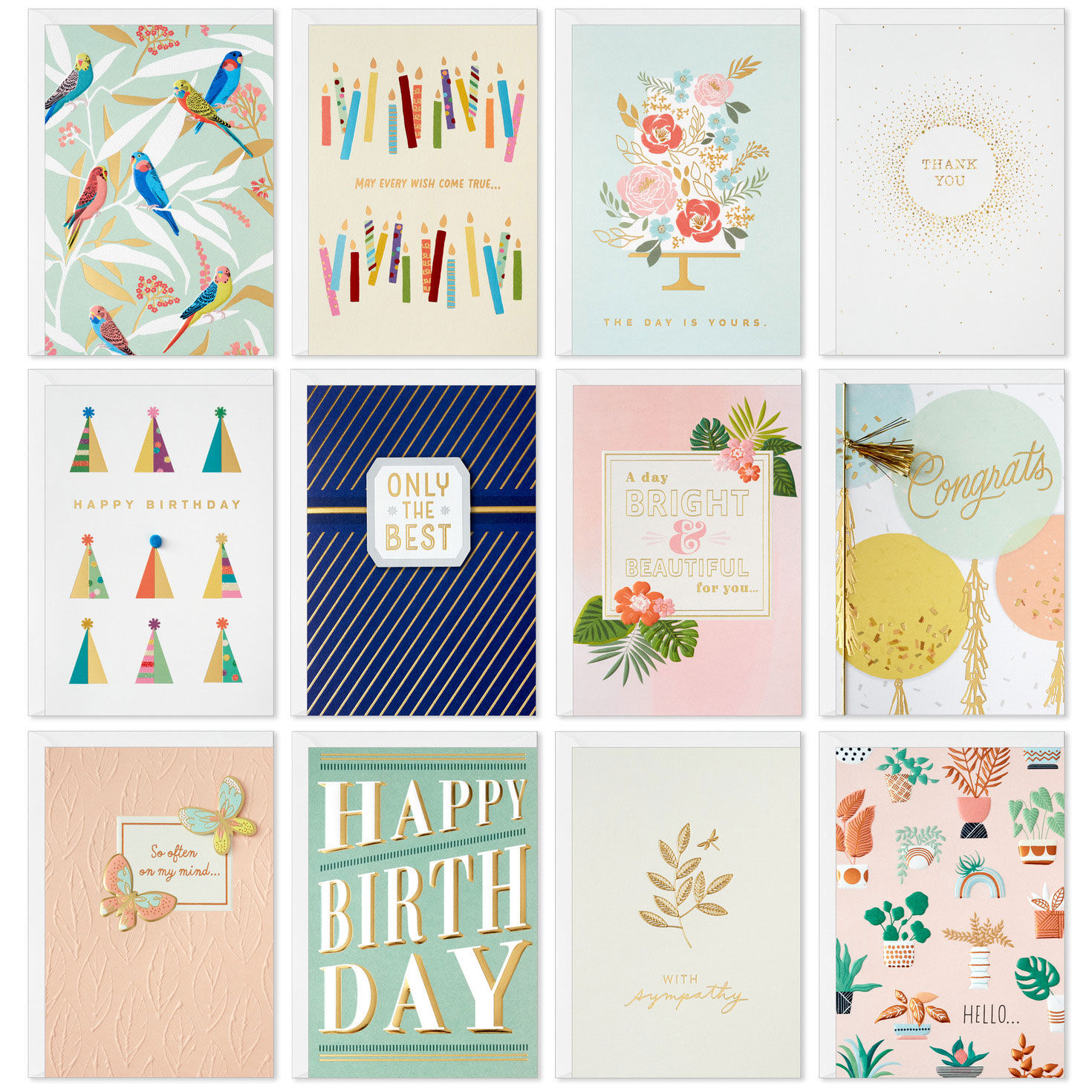 Touch of Elegance Assorted Boxed All-Occasion Cards, Pack of 12 - Boxed ...