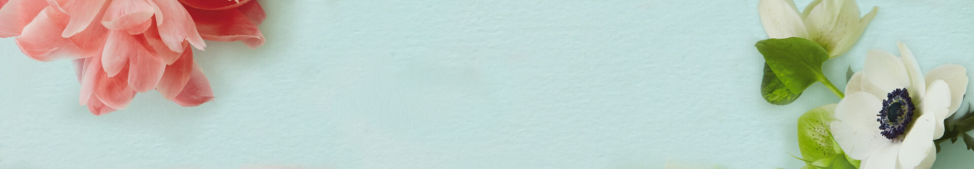 Anniversary Cards | Hallmark