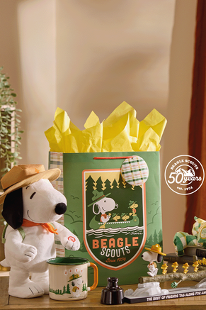 Peanuts® Gifts, Cards & Ornaments | Hallmark