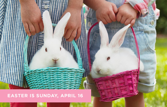 Easter Cards, Gifts & Ornaments | Hallmark