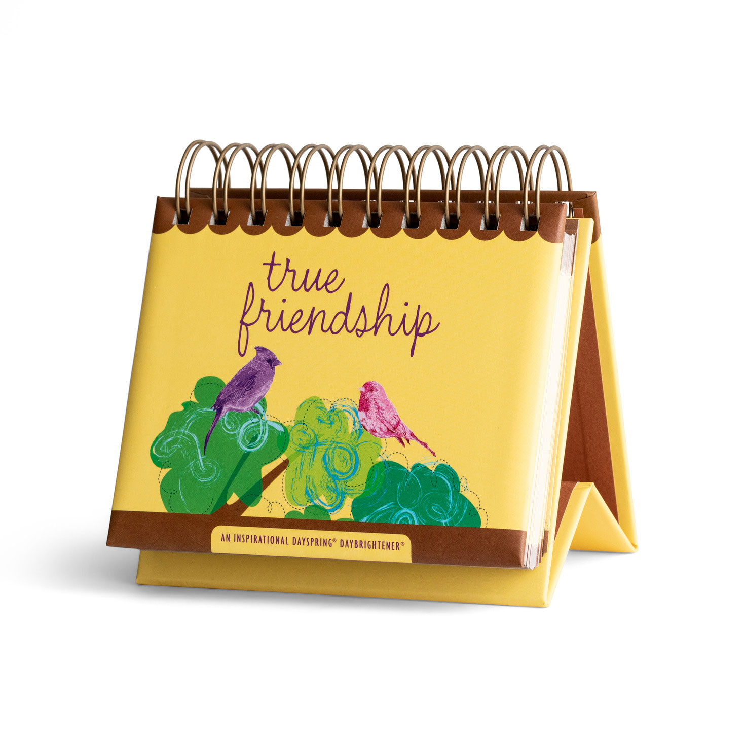 You Know, Heaven Stuff True Friendship 365-Day Perpetual Calendar ...