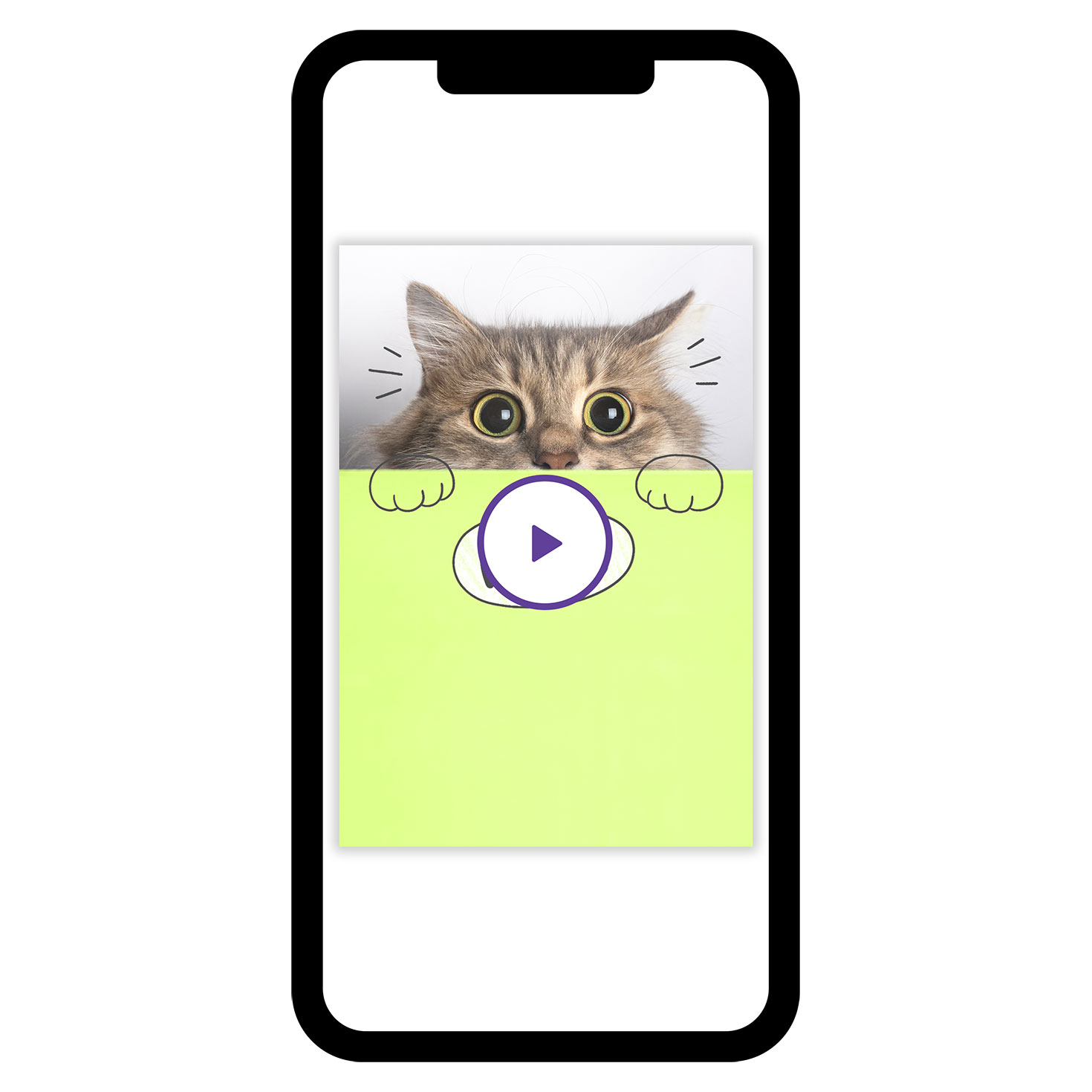 You're Mind Boggling Peeking Cat eCard - eCards | Hallmark