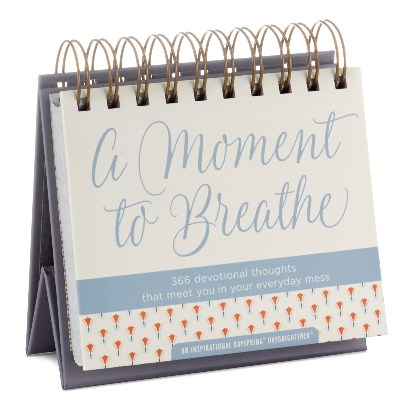 DaySpring Devotional Thoughts Page-a-Day Book - Gift Books | Hallmark