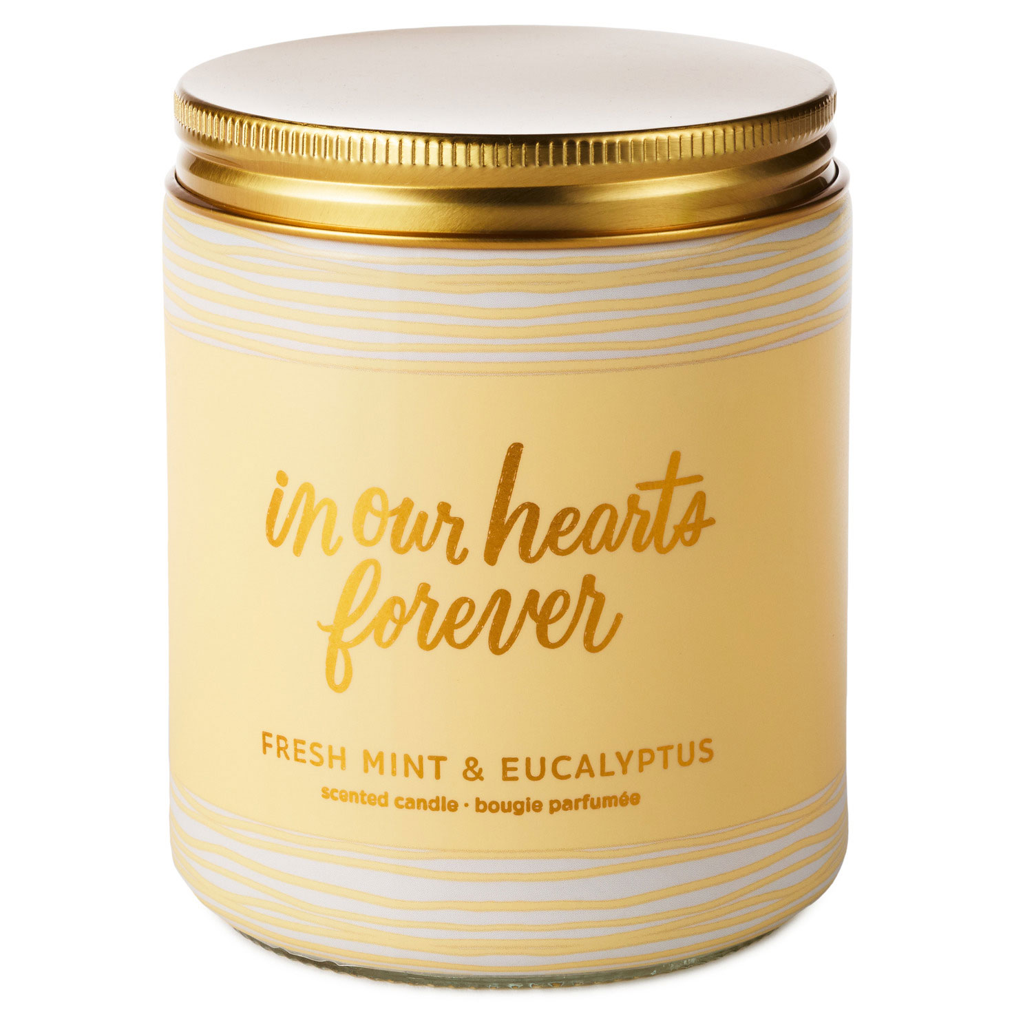 In Our Hearts Forever Fresh Mint & Eucalyptus Scented Jar Candle, 7 oz ...