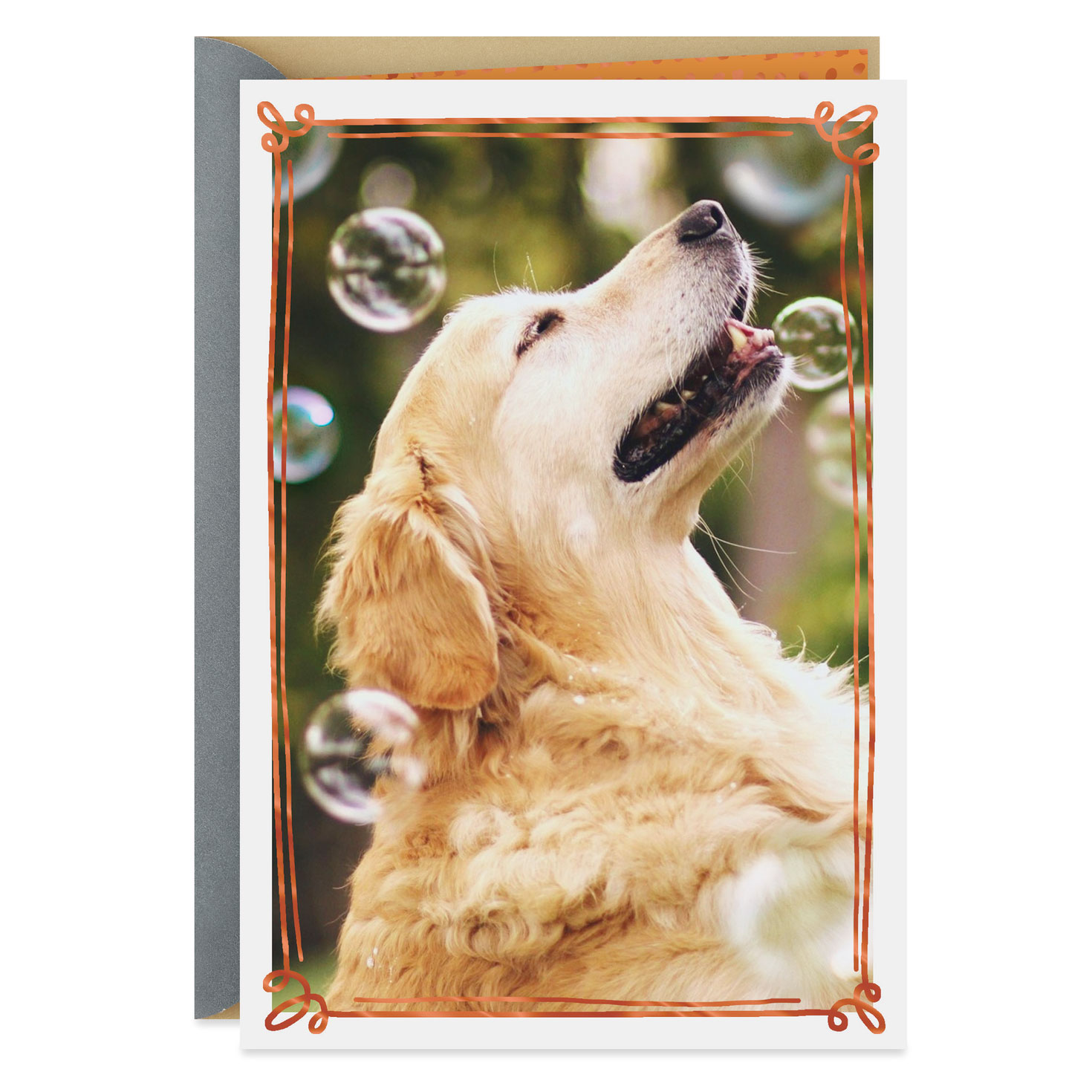 Happy Thoughts Dog With Bubbles Encouragement Card - Greeting Cards ...
