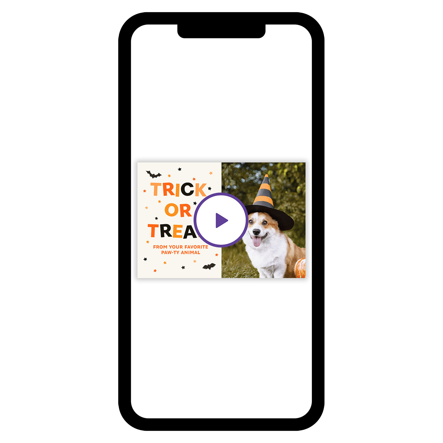 Trick or Treat Paw-ty Animal Halloween eCard - eCards | Hallmark