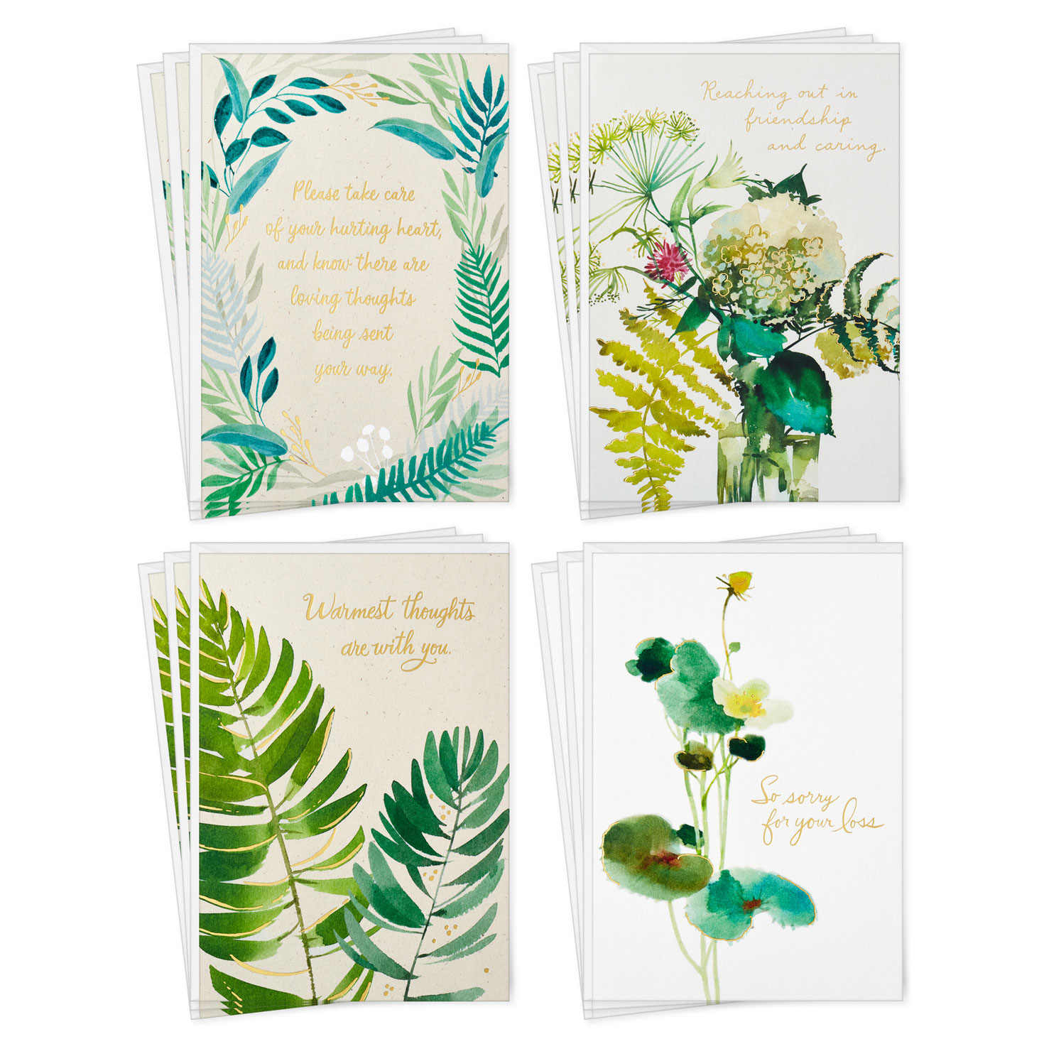 Watercolor Botanicals Boxed Sympathy Cards Assortment, Pack of 12 ...