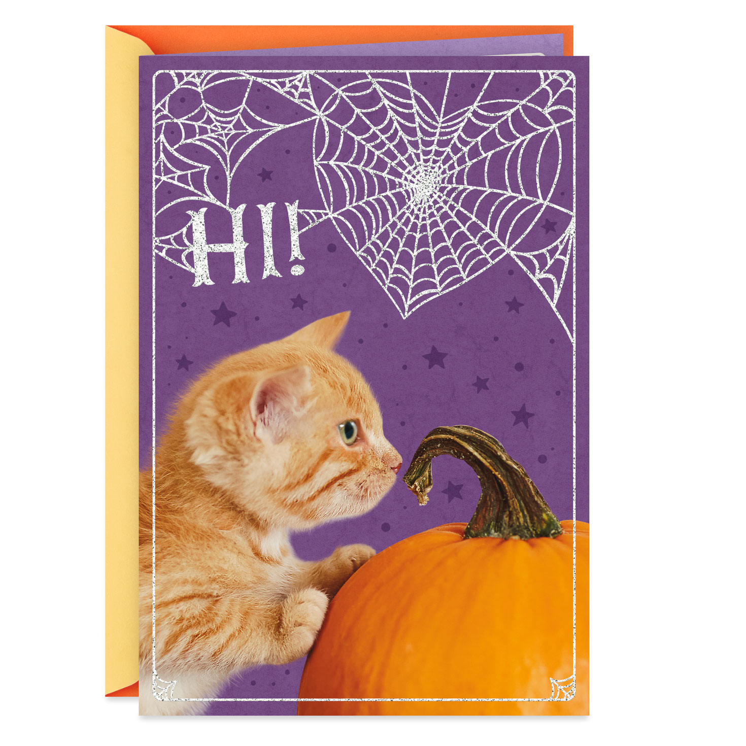 Cat and Pumpkin Halloween Card for Loved One - Greeting Cards | Hallmark