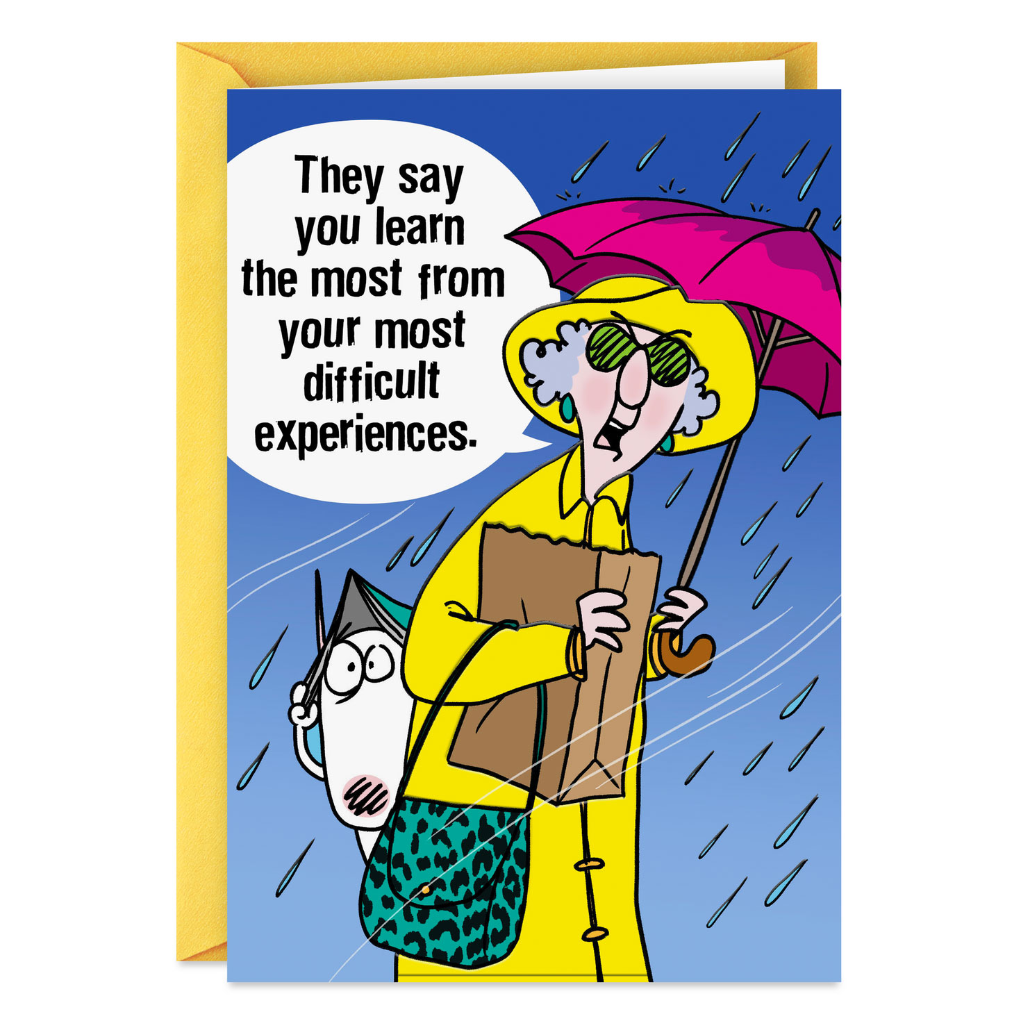 Maxine™ What a Stupid System Funny Encouragement Card - Greeting Cards | Hallmark