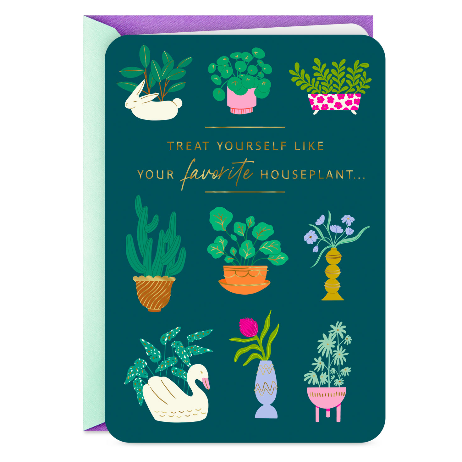 Treat Yourself Like a Plant Funny Birthday Card - Greeting Cards | Hallmark