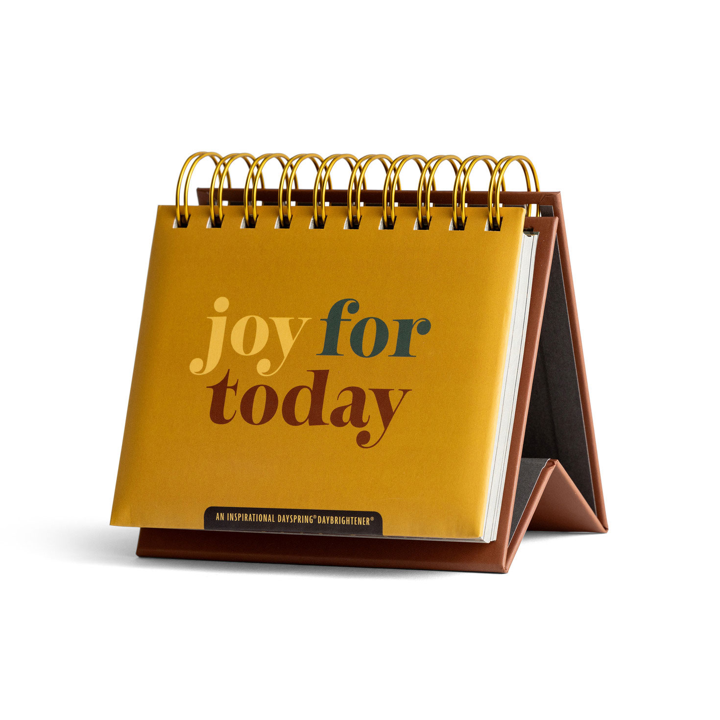 Joy for Today DaySpring Perpetual Calendar - Calendars & Planners ...